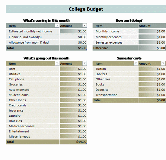 College Student Budget Template Home Budget Template MS Excel Templates